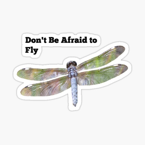 "Don't Be Afraid to Fly Dragonfly" Sticker by GeographerDude | Redbubble