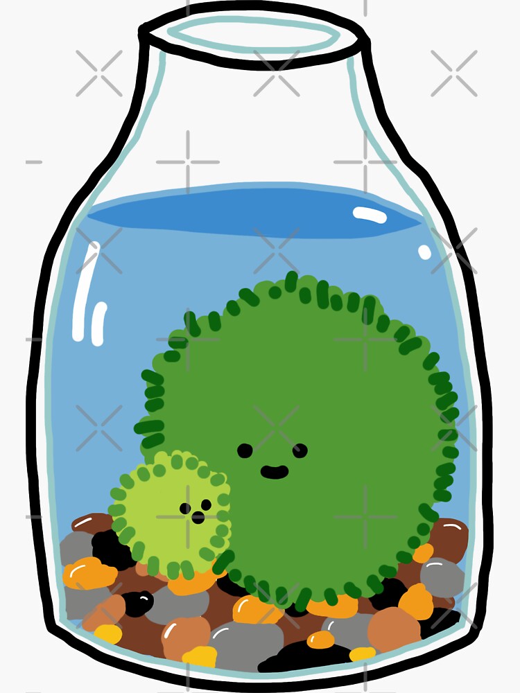 "Marimo Moss Balls" Sticker for Sale by siduahuruf | Redbubble