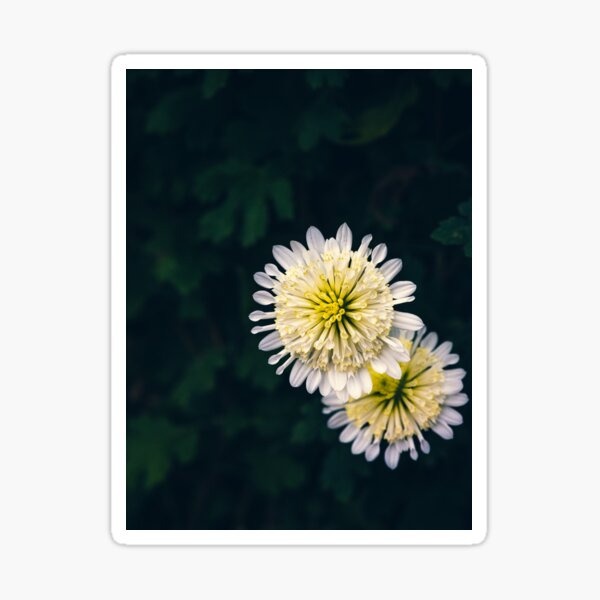 "Floating" Sticker by alanshapiro | Redbubble