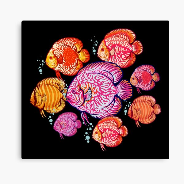 Discus Fish Canvas Prints | Redbubble