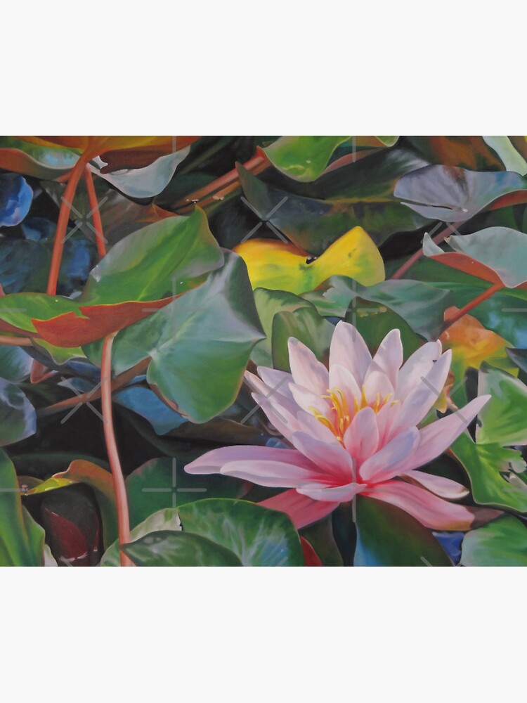 "Revolution - water lily painting" Sticker for Sale by EmilyBickell ...