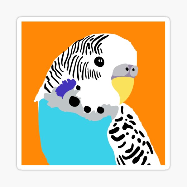 "Noddy the budgerigar" Sticker for Sale by SarahMcGilvray | Redbubble