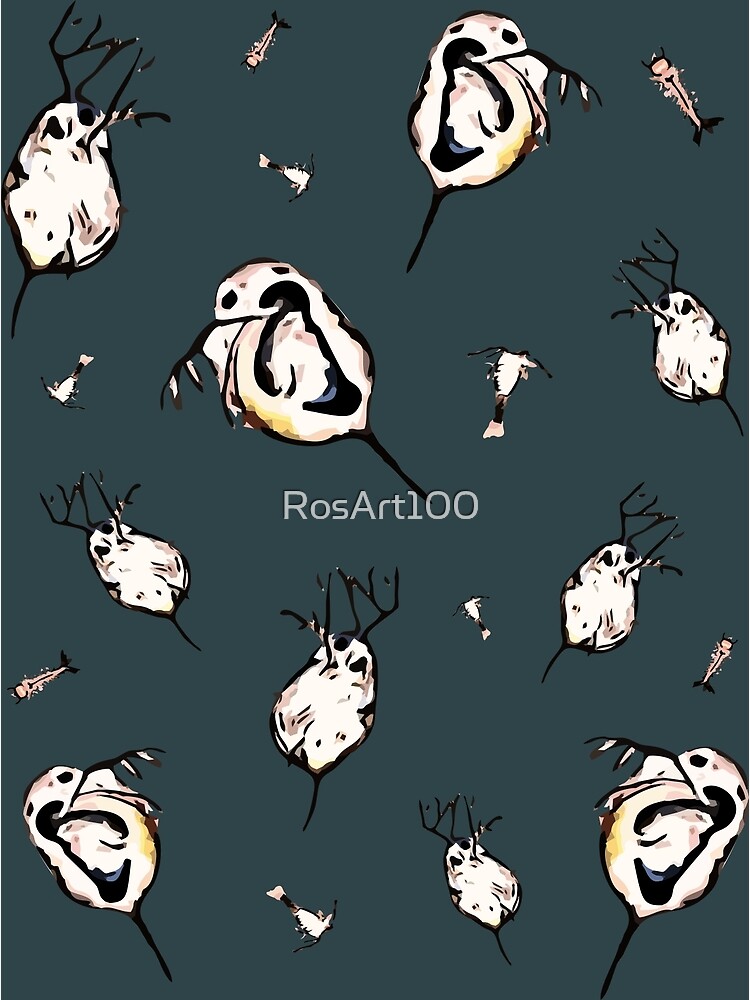 "Daphnia spec. (Crustacea), collage" Greeting Card for Sale by ...