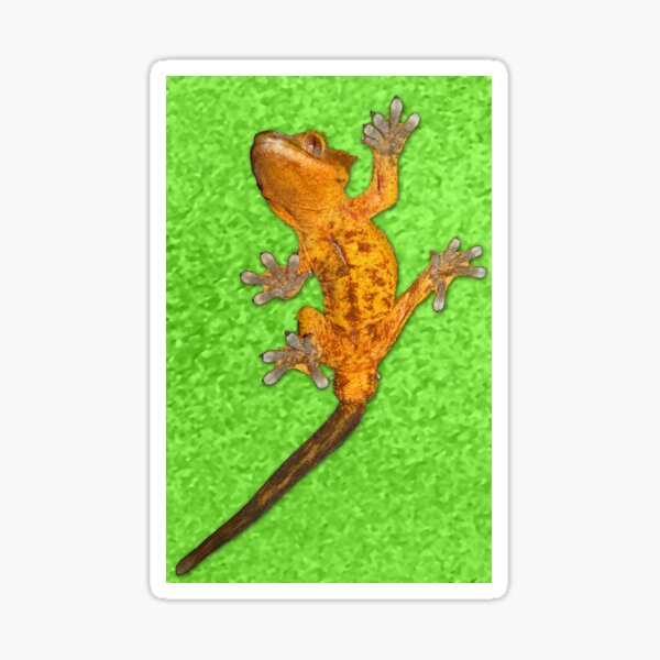 "Crested Gecko" Sticker by Sunaokami | Redbubble