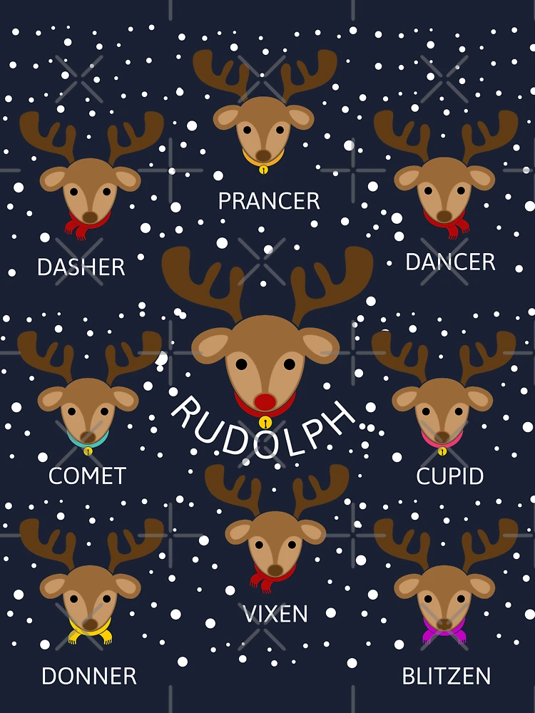 Santa's reindeer names store