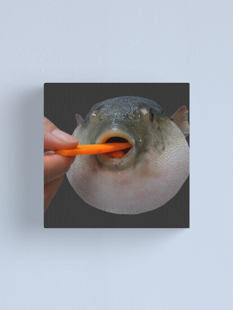 "Pufferfish Eating a Carrot Meme " Canvas Print for Sale by Goath ...