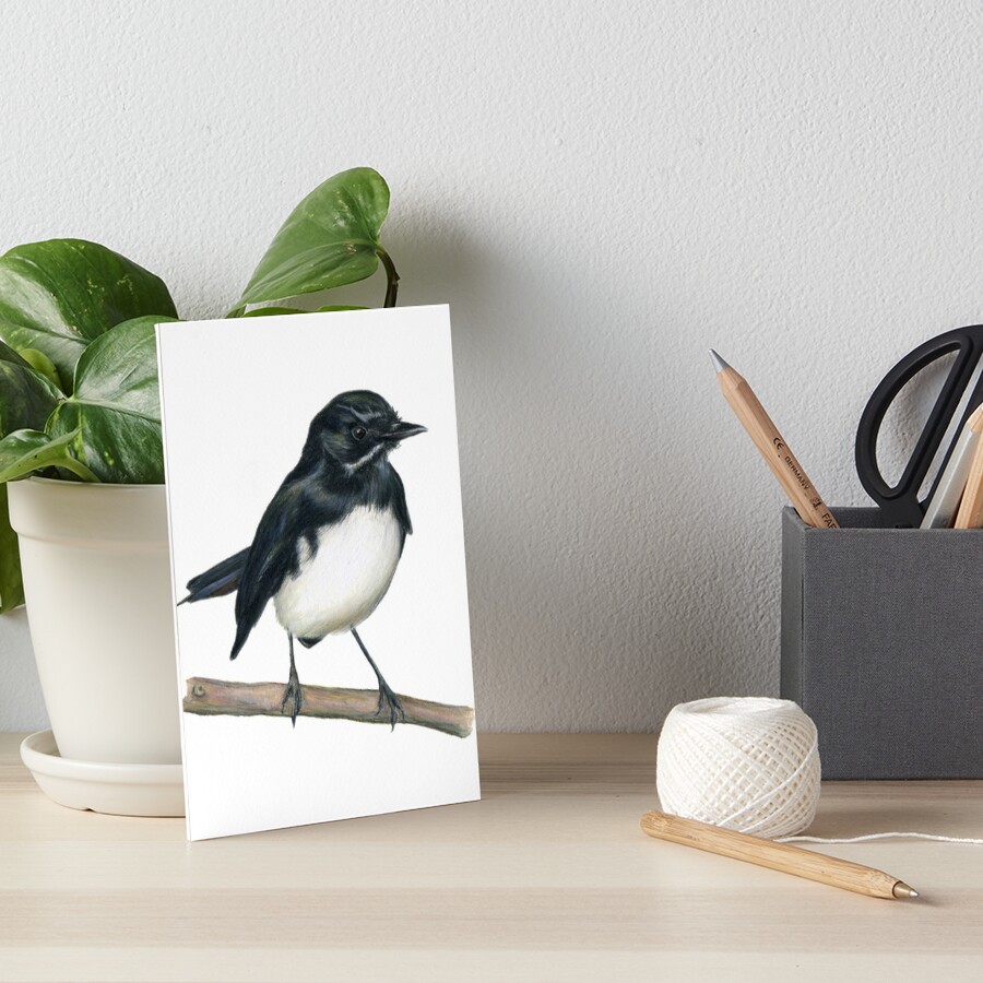 "Willie Wagtail Bird Art Drawing" Art Board Print for Sale by ...