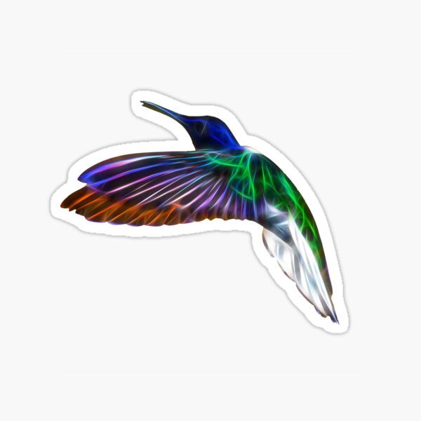 "Hummingbird,Colibri" Sticker by stone12 | Redbubble