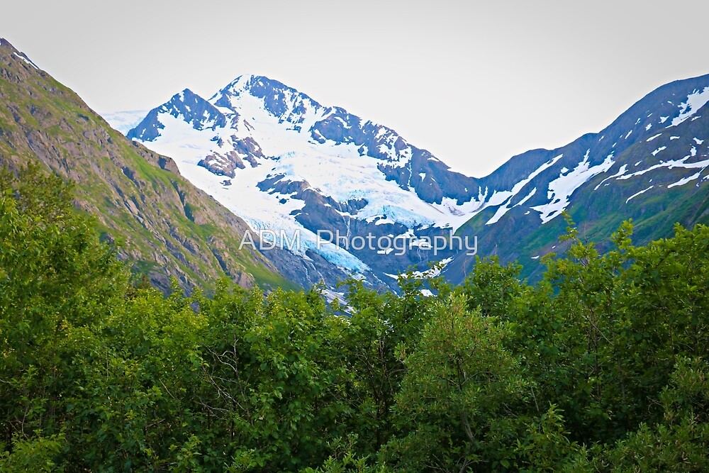 «Alaska Wilderness» de ADM Photography | Redbubble