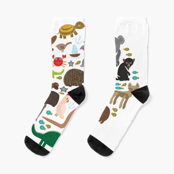 "Animals Australia: Echidna Platypus ostrich Emu Tasmanian devil ...