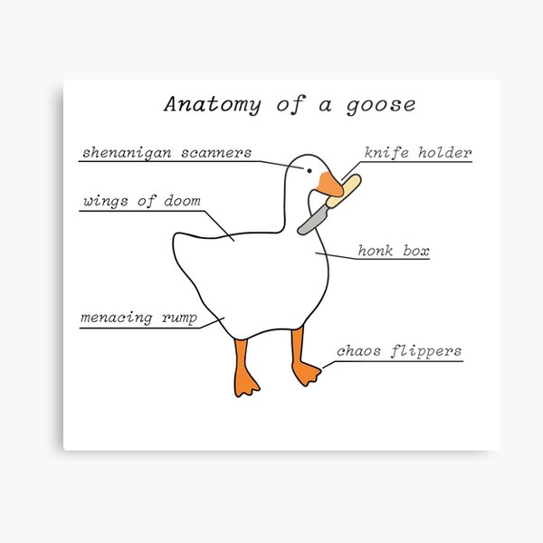 "Anatomy Of A Goose | Untitled Goose Game" Metal Print by FennecLoaf ...