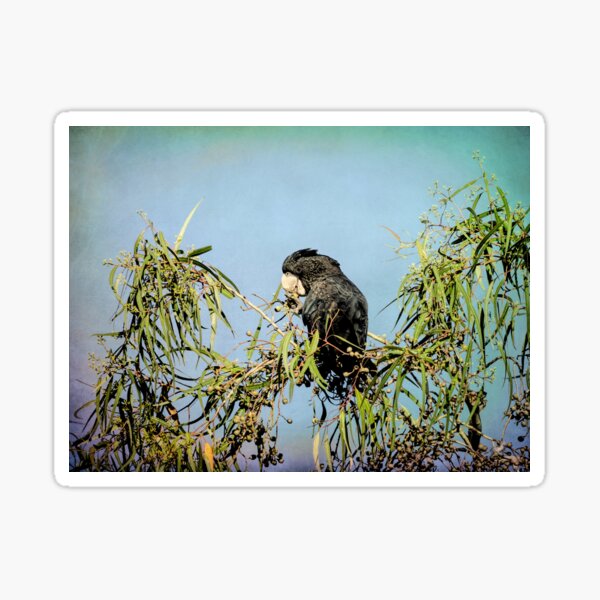 "Munch Time" Sticker by Ladyshark | Redbubble