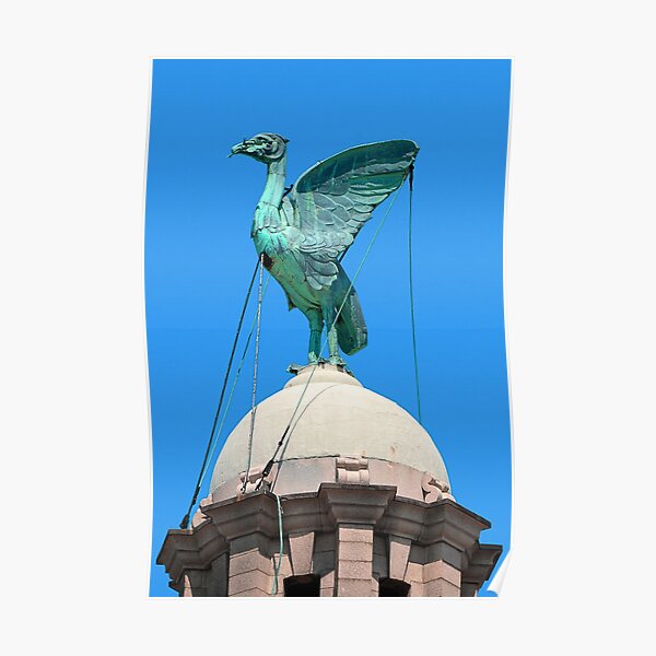 Liverpool Liver Bird Wall Art | Redbubble