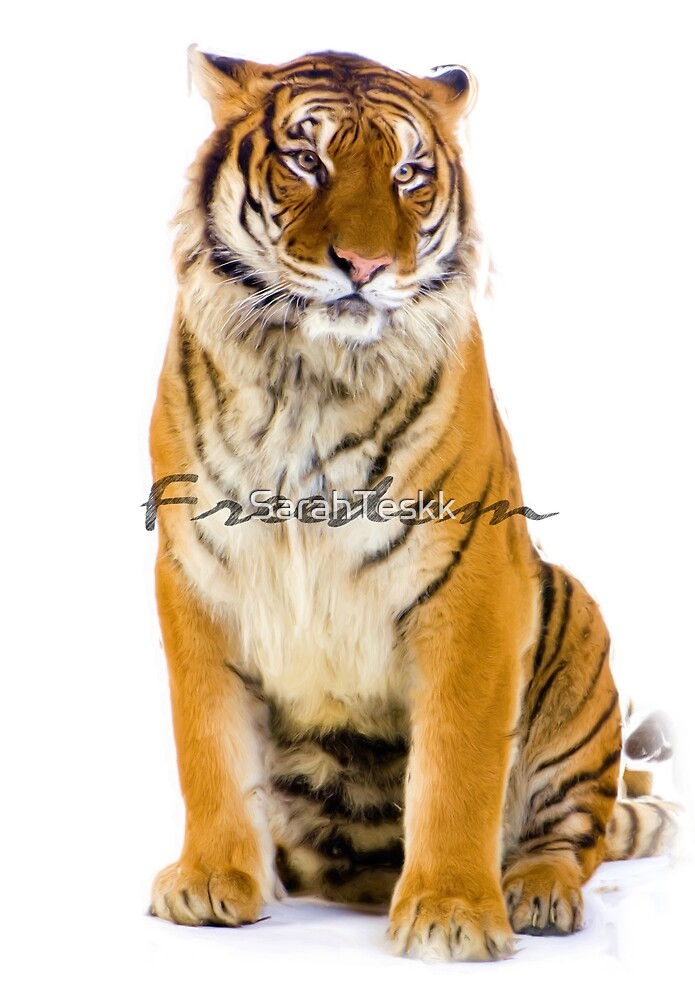 "Tiger Freedom" by SarahTeskk | Redbubble