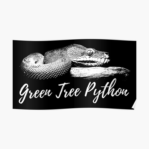 Póster «Árbol Verde Python Negro y Blanco» de JRRTs | Redbubble
