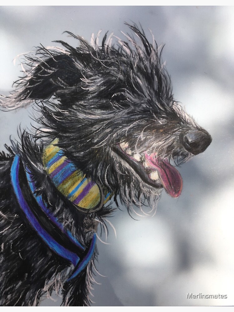 "Beddy Whippet Scruffy Lurcher" Sticker for Sale by Merlinsmates ...