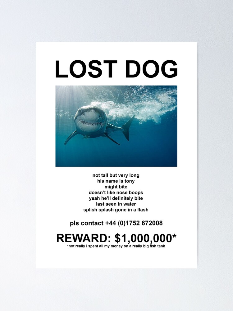 "lost dog poster - shark" Poster for Sale by kitskingdom | Redbubble