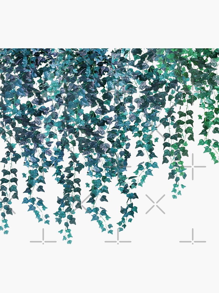 "Creepers, original nature plants" Sticker for Sale by AsKartongs ...