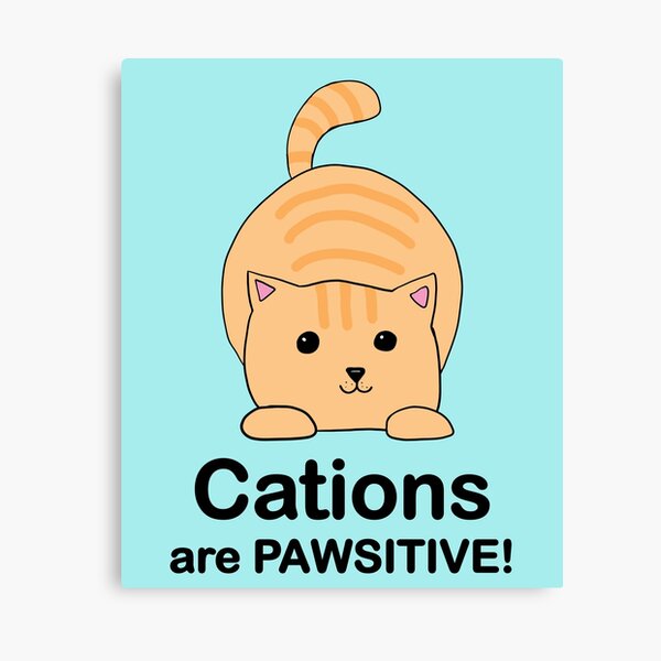 Cations Are Pawsitive Gifts & Merchandise | Redbubble