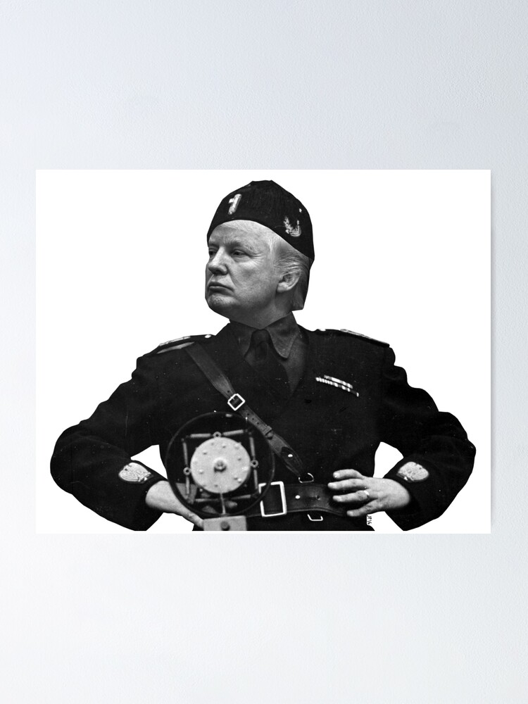 "Donito Trumpolini" Poster for Sale by artpirate | Redbubble