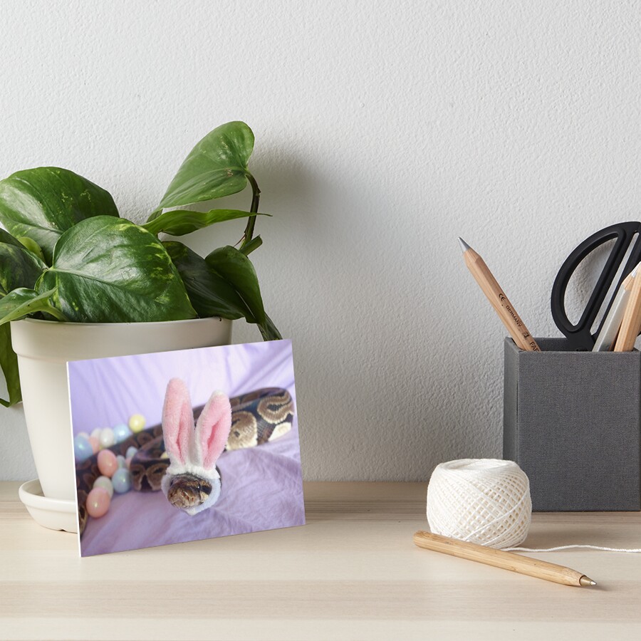 "Imposter Easter Snake - Ball Python Easter Bunny Ears Cute Snakes In ...