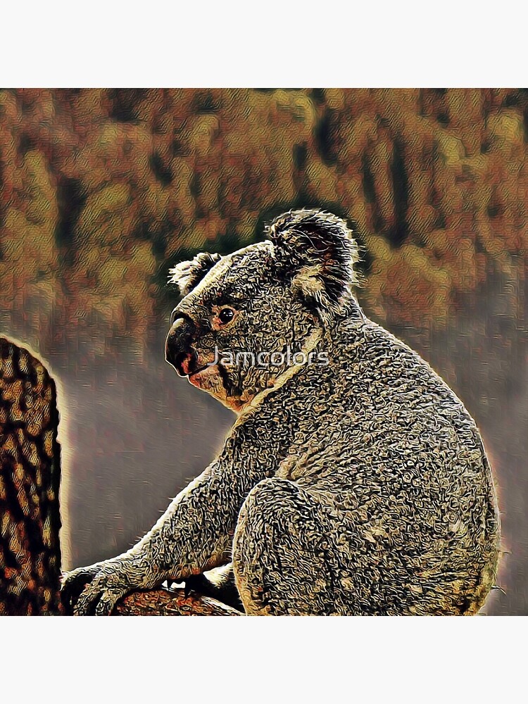 "SmartMix Animal Koala 3" Poster by Jamcolors | Redbubble
