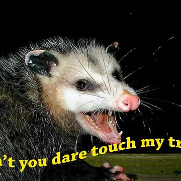 "Don't touch my trash opossum meme" Sticker for Sale by chase-the-girl ...