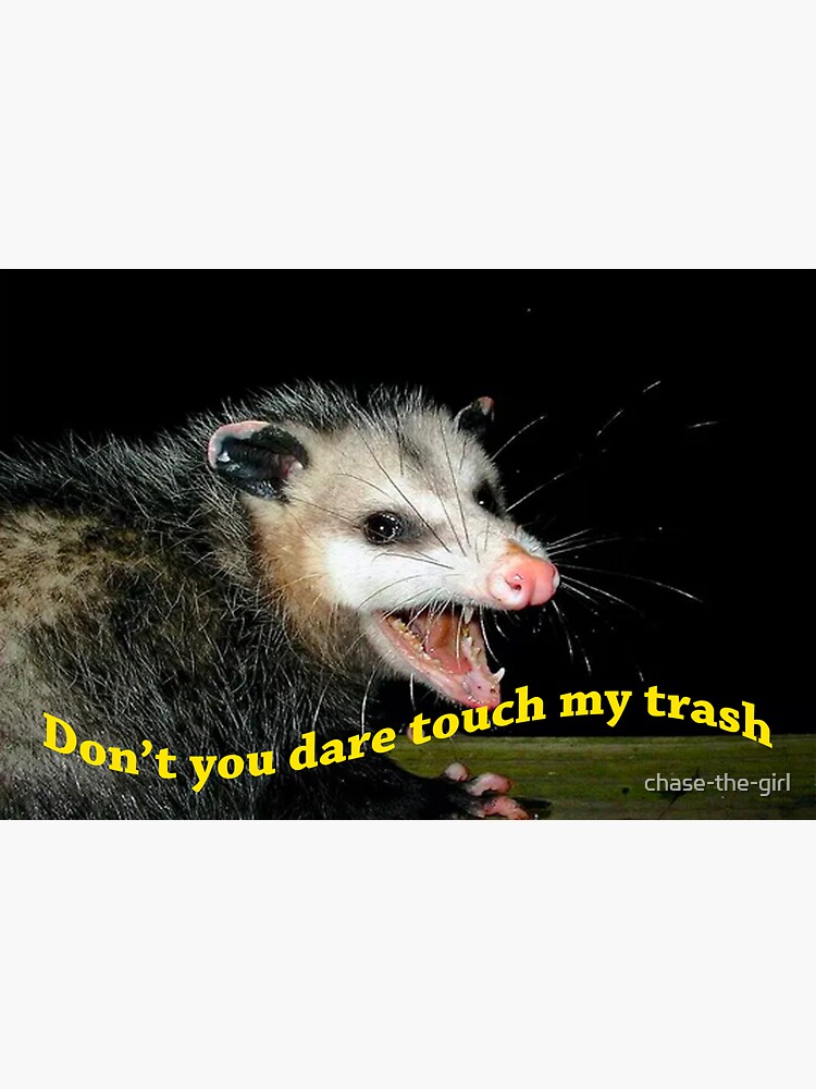 "Don't touch my trash opossum meme" Sticker for Sale by chase-the-girl ...