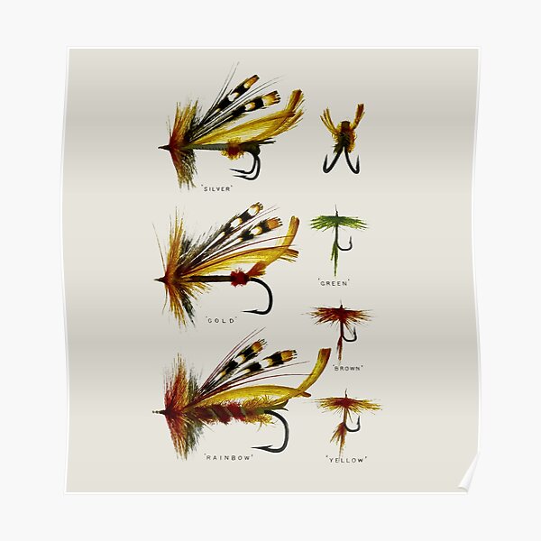 "The Colour of Flies" Poster for Sale by PictureNZ | Redbubble