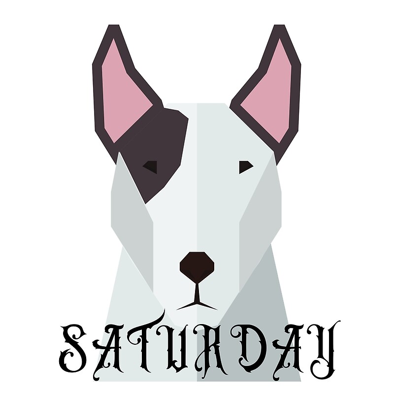 "Saturday Dog" by Gail-Z | Redbubble