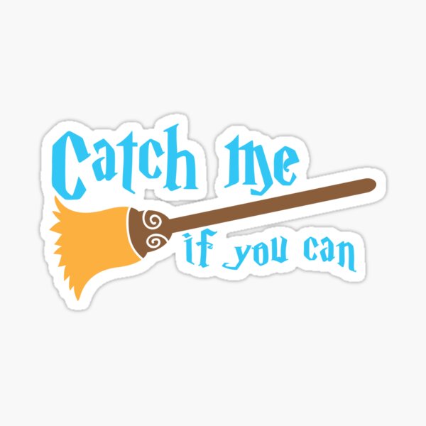 "Catch me if you can" Sticker for Sale by thetypographer | Redbubble