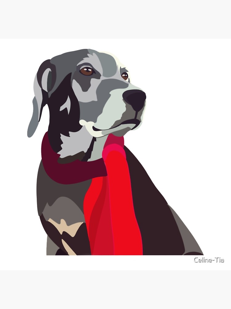 "Black Lab wearing a scarf " Poster by Celine-Tia | Redbubble