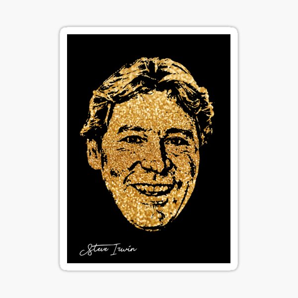 Steve Irwin Stickers | Redbubble