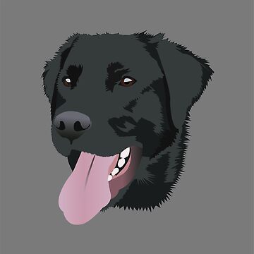 "Black Lab" Socks for Sale by KCPetPortraits | Redbubble