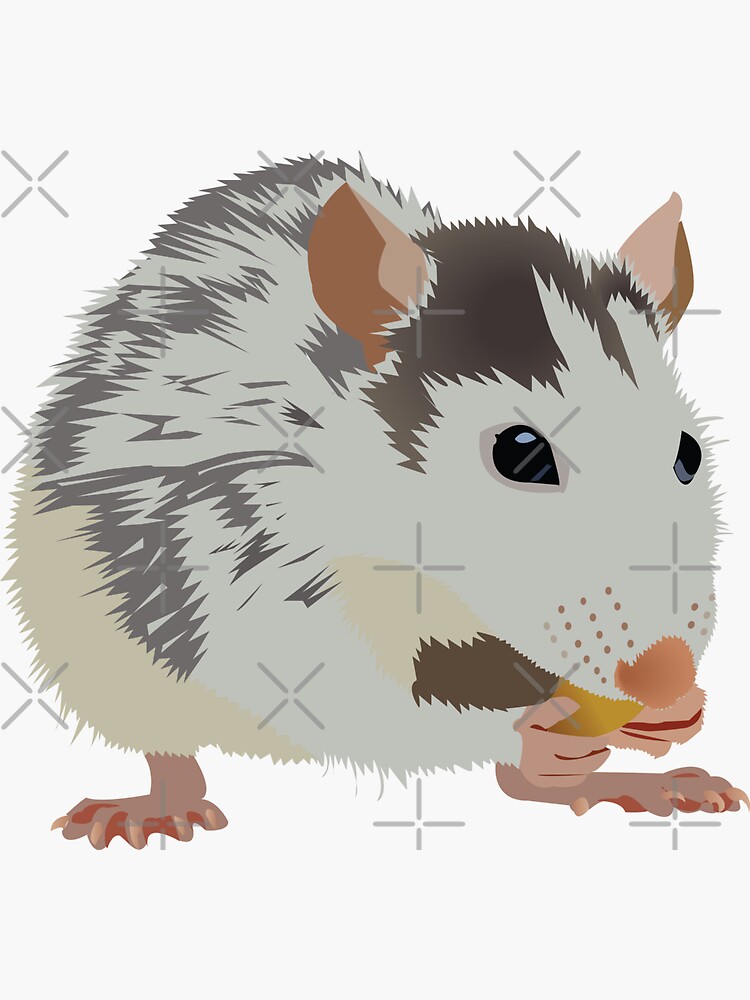 "Hungry Rat" Sticker for Sale by KCPetPortraits | Redbubble