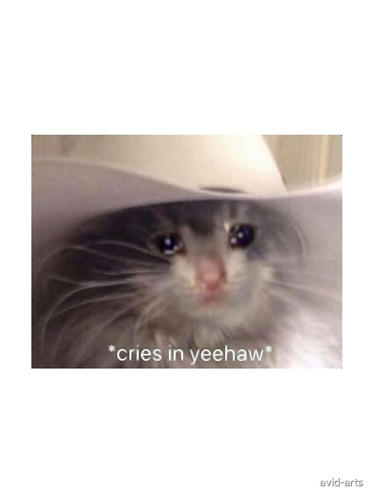 ""Cries in Yeehaw" Cat meme" T-shirt by avid-arts | Redbubble