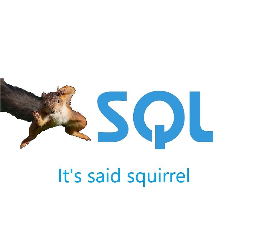 "SQL is SQUIRREL" by comrade-eevee | Redbubble