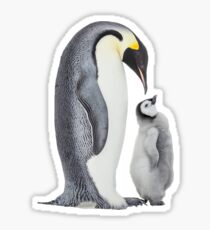 Penguin Stickers | Redbubble