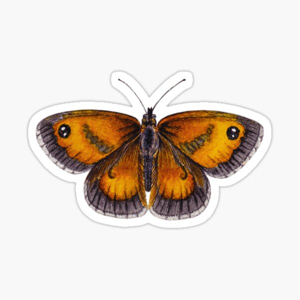 "Gatekeeper Butterfly" Sticker by WhileIWonder | Redbubble