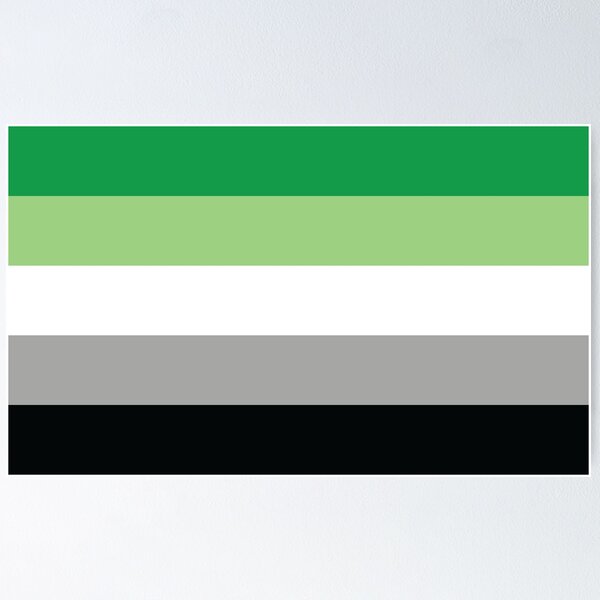 "Aromantic Pride Flag" Poster for Sale by lgbtshoppe | Redbubble