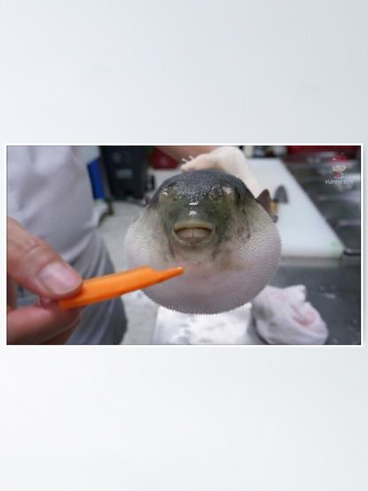 "Funny Fish" Poster by Verglence | Redbubble