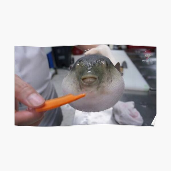 "Funny Fish" Poster by Verglence | Redbubble