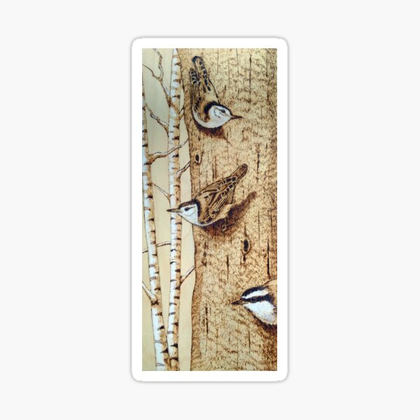 "Pyrography: Three Birds, Nuthatches, Birch Trees, Freehand Art ...
