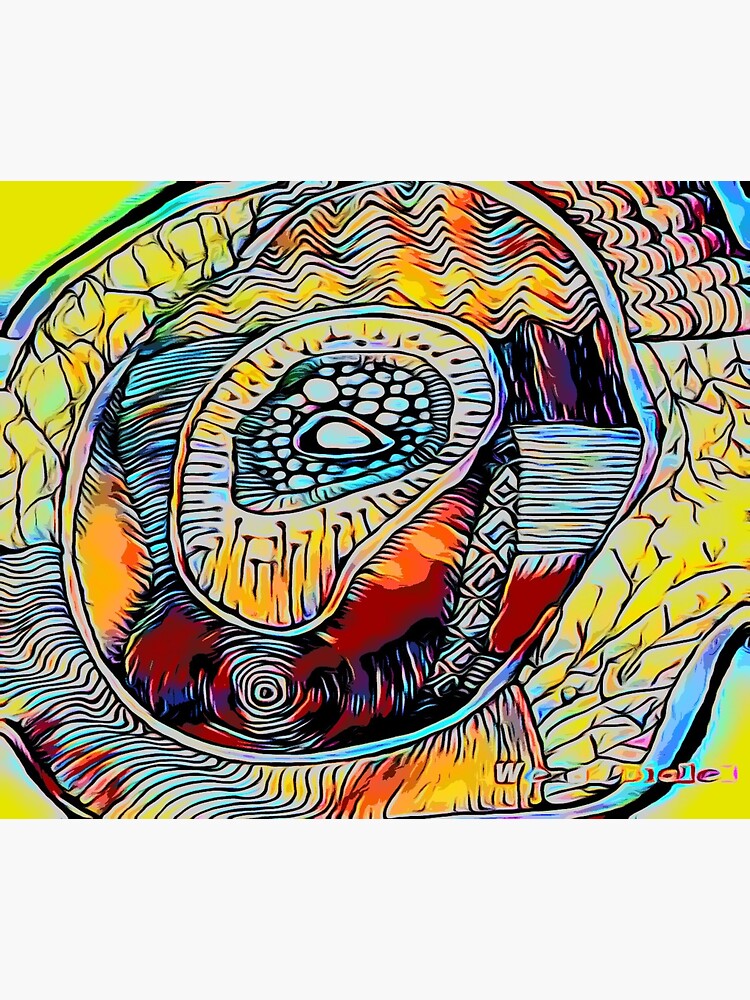 "Amoeba doodle" Sticker for Sale by wendybialek | Redbubble