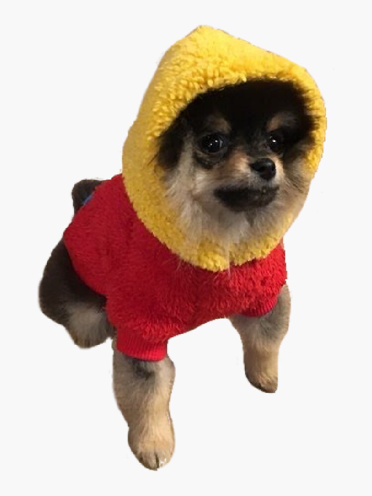 "yeontan" Sticker by mirmenram | Redbubble