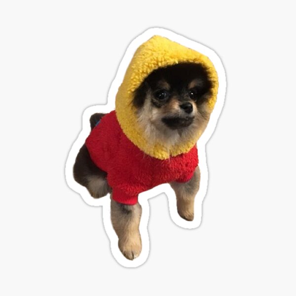 "yeontan" Sticker by mirmenram | Redbubble