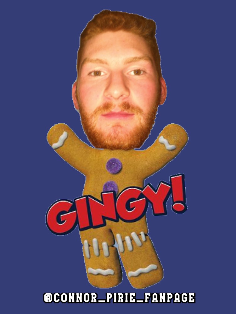 "Gingy!" T-shirt for Sale by UrinalPucksShop | Redbubble | gingy t ...
