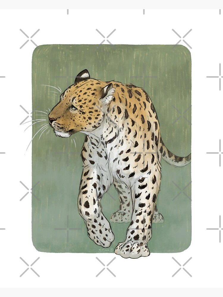 "Endangered Species - Amur Leopard" Poster for Sale by StinaB | Redbubble