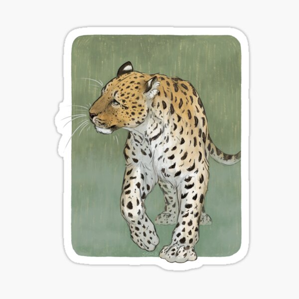 "Endangered Species - Amur Leopard" Sticker for Sale by StinaB | Redbubble