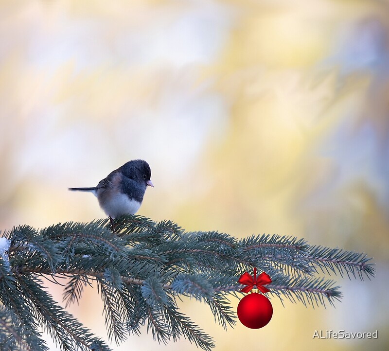 "Snow Bird and Ornament on an Evergreen Tree" by ALifeSavored | Redbubble
